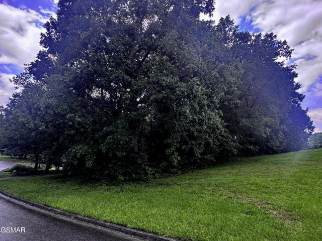 14 Boxwood Lane