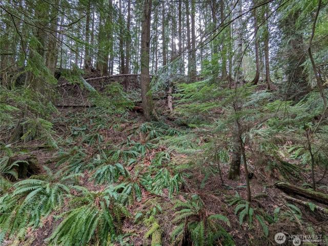 14 Black Bear Ct, Unit A, Bellingham, WA 98229 | MLS #2361