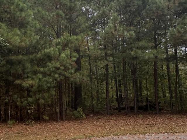 14 Broad River Drive
