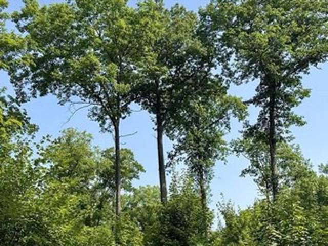 14 County Road T, Danbury, WI 54830