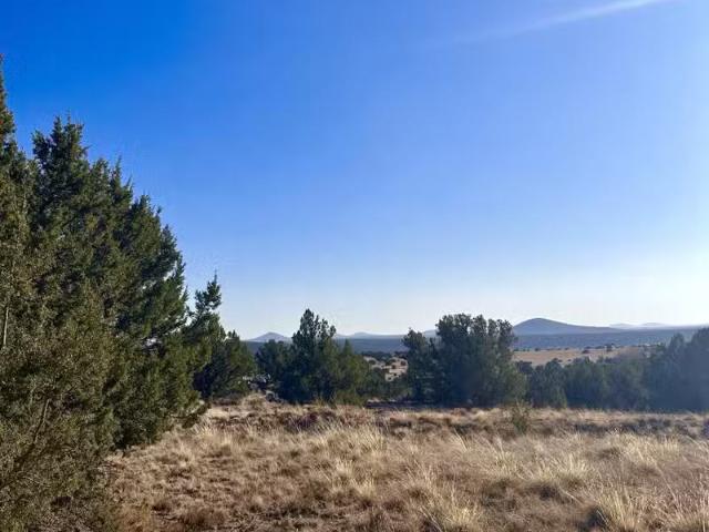 14 County Rd 8249 Rd #038, Concho, AZ 85924 MLS 6628131