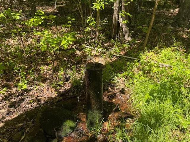 14 Deep Hollow Trail
