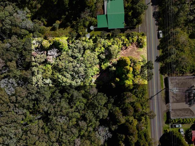 14 E Wright Rd, Volcano, HI 96785 | MLS #727320