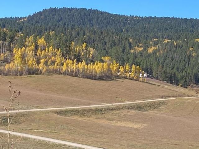 14 Elk Watch Ln Unit 14, Freedom, WY 83120