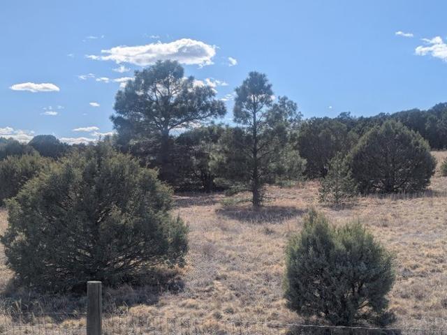 14 Falling Star Dr, Tijeras, NM 87059