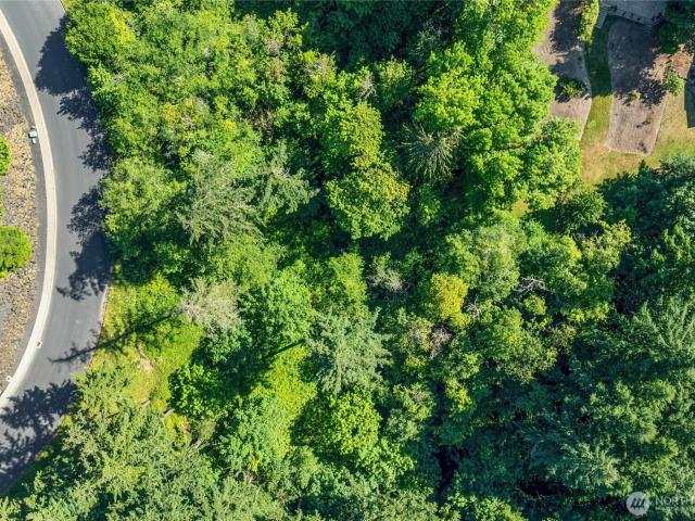 14 Forest Hill Estate, Longview, WA 98632 | MLS #2483