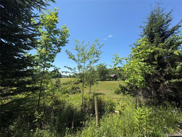 14 Frelich Rd/T R 28