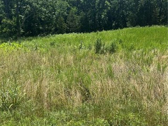 14 Gordon Hollow Dr Lot 7, Bella Vista, AR 72715