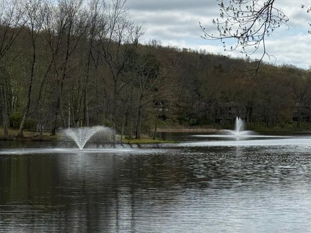 14 Heather Ct, Unit 14, Woodbury, CT 06798 | MLS #24168
