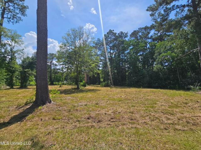 14 Jolly Roger Point, Carriere, MS 39426 | MLS #4117