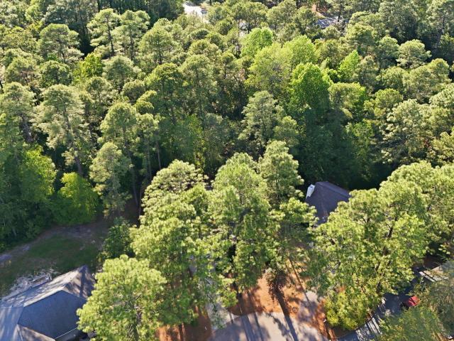 14 Juniper Lane