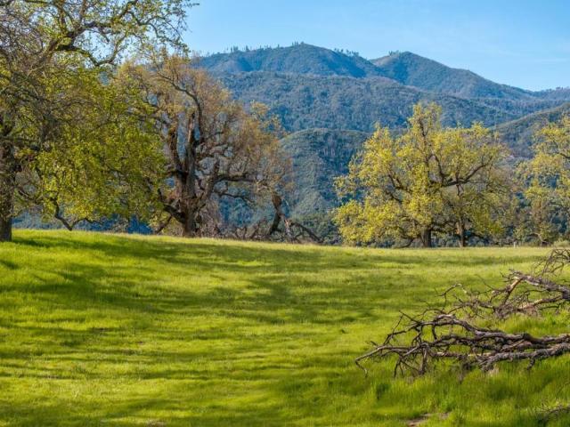 14 Long Ridge Trail Lot 232