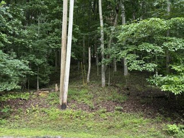 14 Lynhurst Cir, Crossville, TN 38558