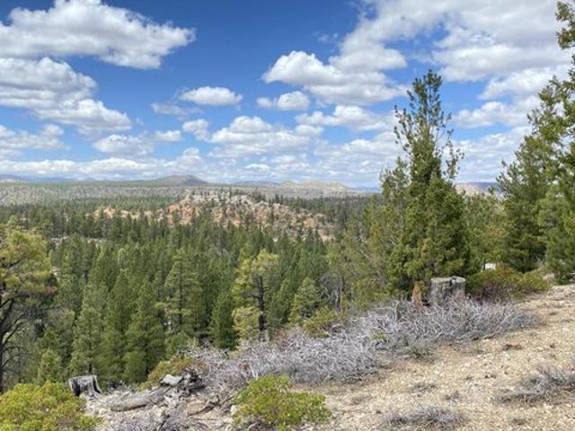 14 N Royal Dr Unit 14, Duck Creek, UT 84762
