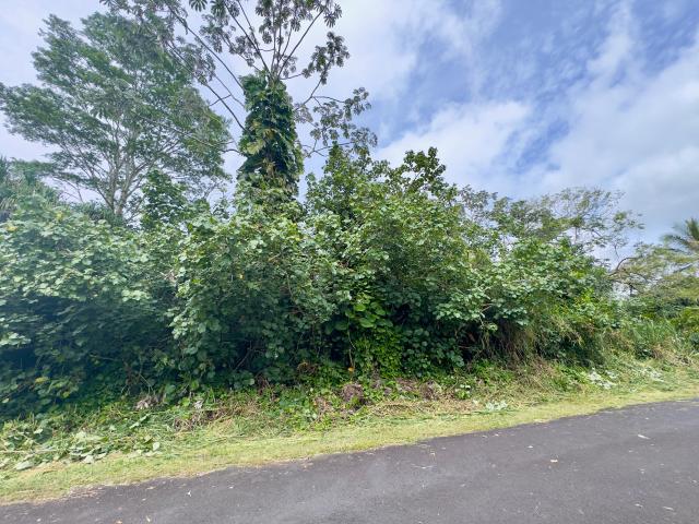 14 Nenue St, Pahoa, HI 96778 | MLS #729489