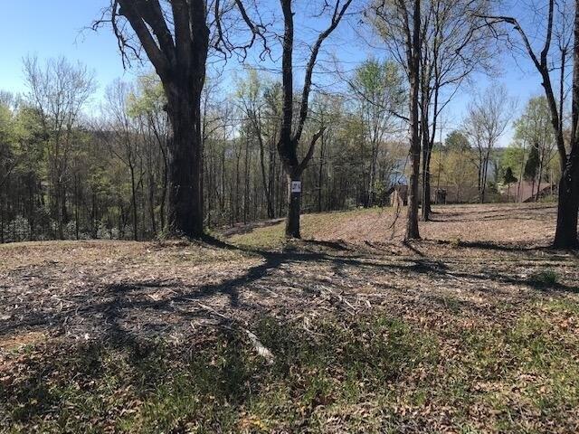 14 Piney View Dr, Spring City, TN 37381