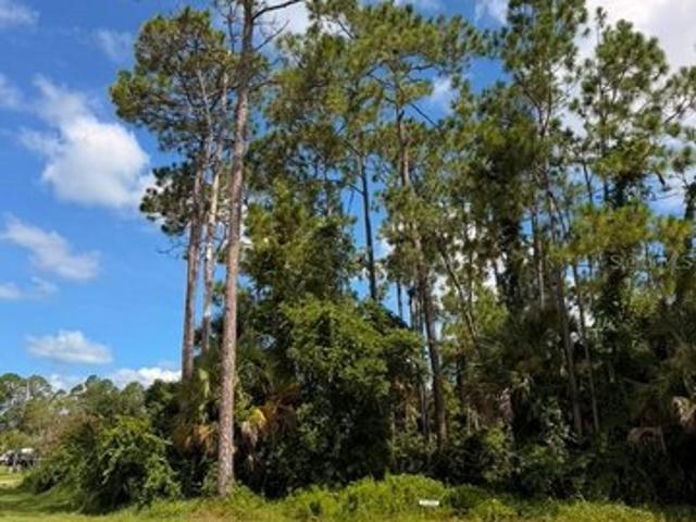 14 Red Barn Dr, Palm Coast, FL 32164