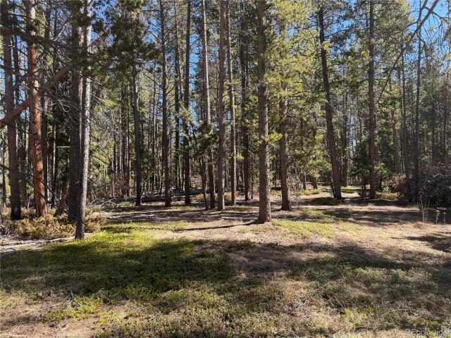 14 S Wallace Ave, Conifer, CO 80433 | MLS #9656 | Compass