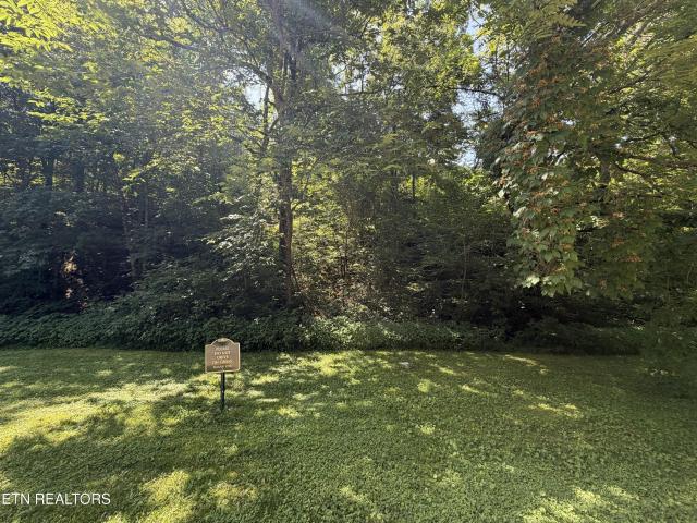 14 Smoky Mountain Way