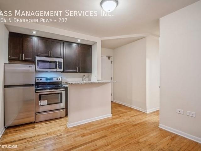 1504 N Dearborn Pkwy, Chicago, IL Studio Apartment for Rent at 1504 N Dearborn Pkwy, Chicago, IL 60610 Near North Side