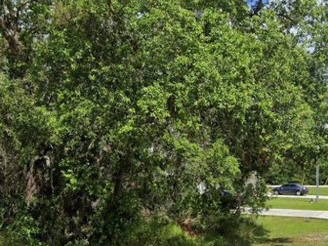 1504 Eloise Ct, Kissimmee, FL 34759