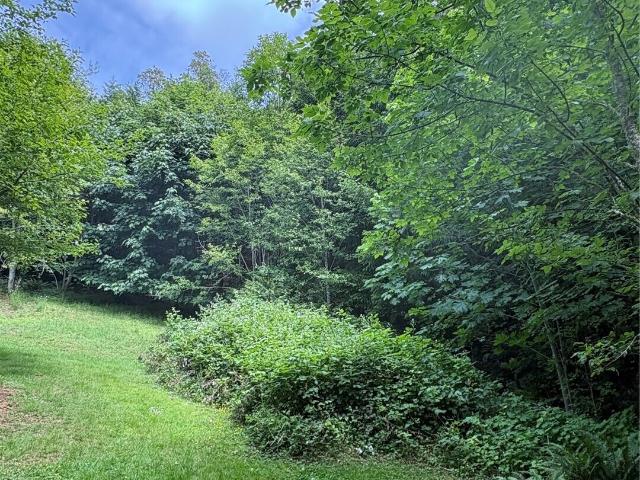 1506 Summit Lake Shore Road NW