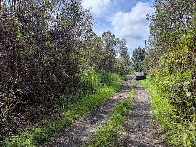 1507 Rd # 2, Mountain View, HI 96771