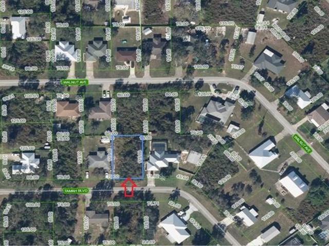 1507 Tamah Blvd, Lake Placid, FL 33852
