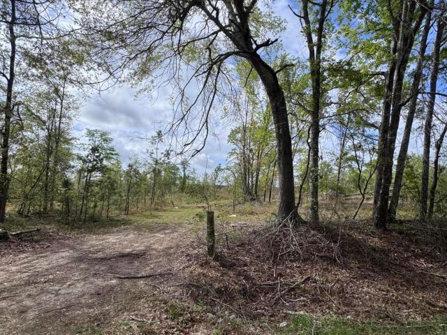 1508 Hephzibah Mcbean Road