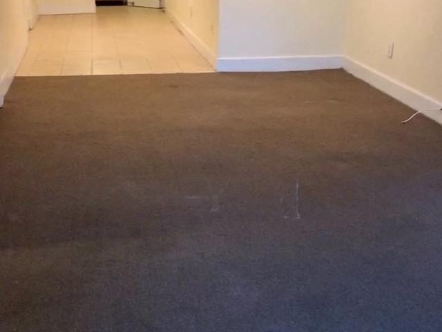1509 N 16th Studio Apartment for Rent at 1509 N 16th St, Philadelphia, PA 19121 North Philadelphia West
