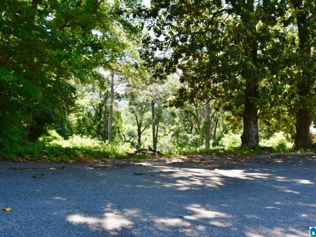 1509 Beckham Drive # 17