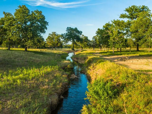 1509 County Road 326
