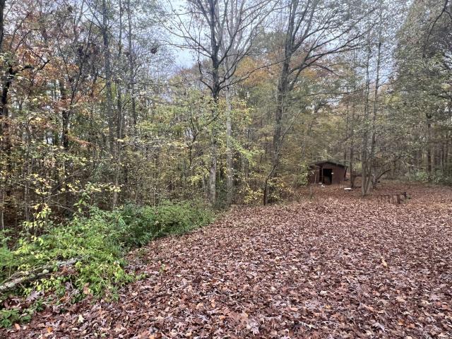 1509 Highway 49 E