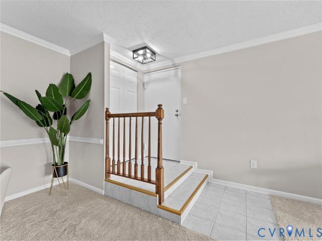1509 Regency Woods Road T3