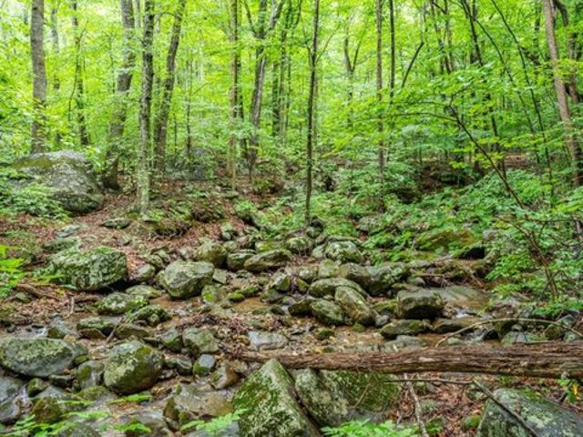 1509 Spruce Creek Ln, Nellysford, VA 22958