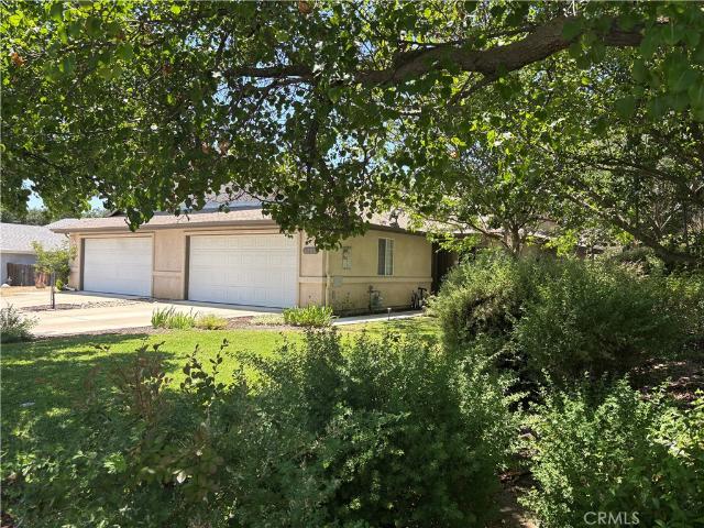1509 Trinity Court