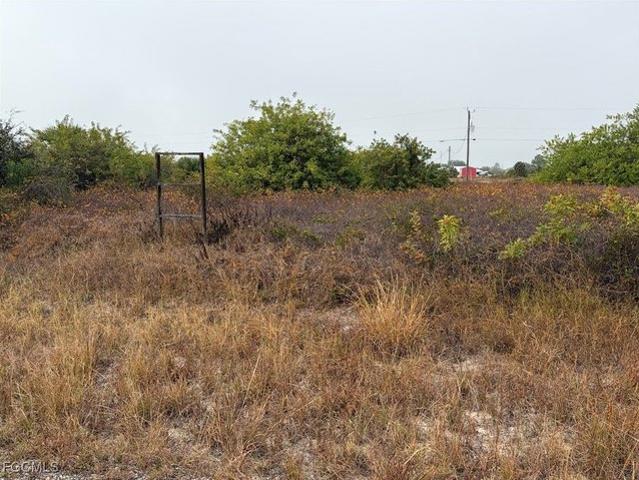 1509 Wells Ave, Lehigh Acres, FL 33972