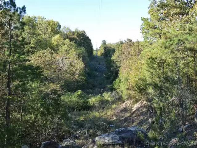 1500 N HIGH ST, ANTLERS, OK 74523 Vacant Land For Sale MLS# 2.