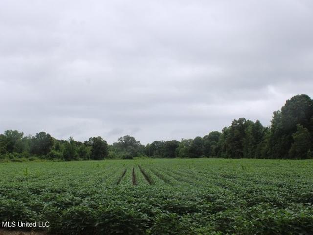 1500 Allen Corner Rd, Lamar, MS 38642