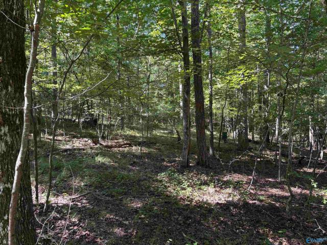 1500 County Road 103 Lot 53