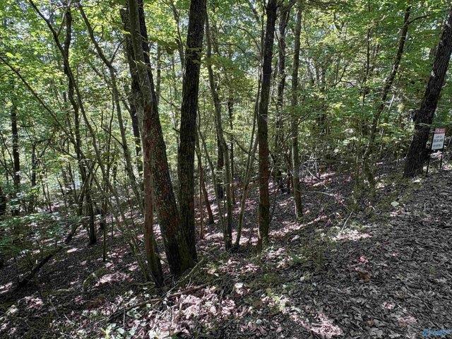 1500 County Road 103 Lot 53, Mentone, AL 35984