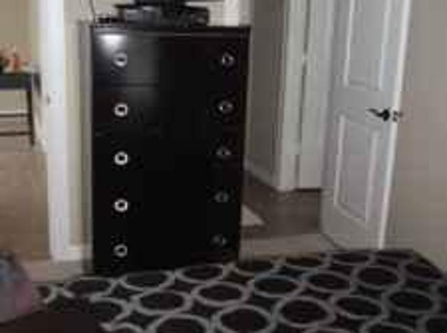 $1500 Furnished professional 2 room suite in brand new home Houston Heights map