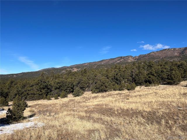 1501 County Road 628