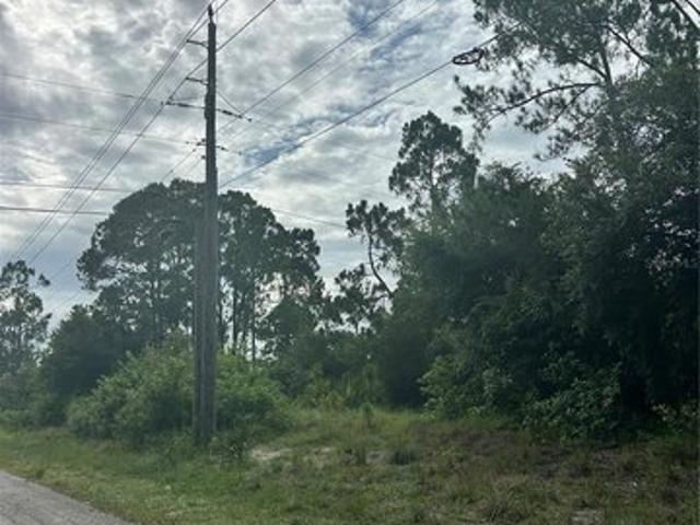1501 Jackson Ave, Lehigh Acres, FL 33972