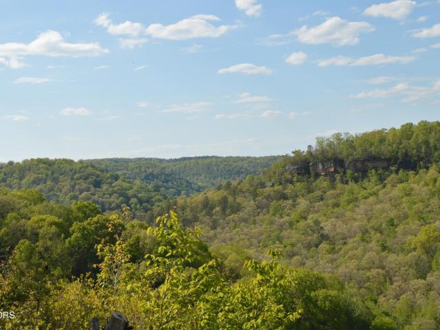 1501 Rob Watson Rd