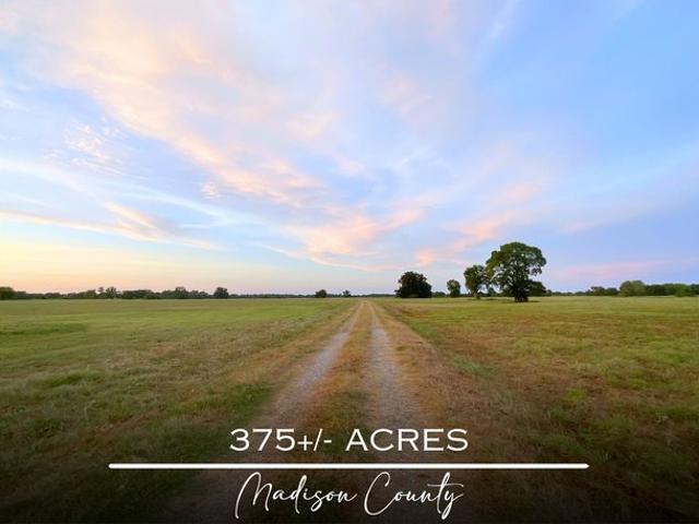 15025 FM 2548, Midway, TX 75852