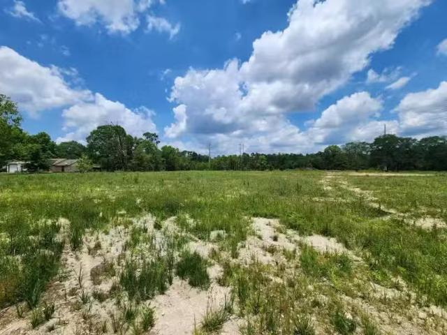 15029 Calhoun Rd, Conroe, TX 77302 MLS 11640692