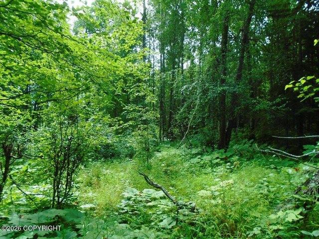 15032 W Necrason Dr, Big Lake, AK 99623