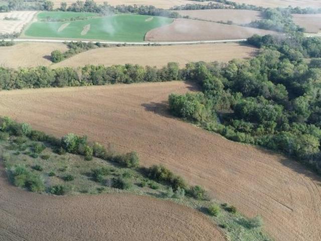 150th St and Elk Ave, Gravity, IA 50848
