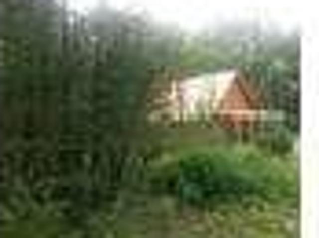 $150 / 3br Copper Cabin